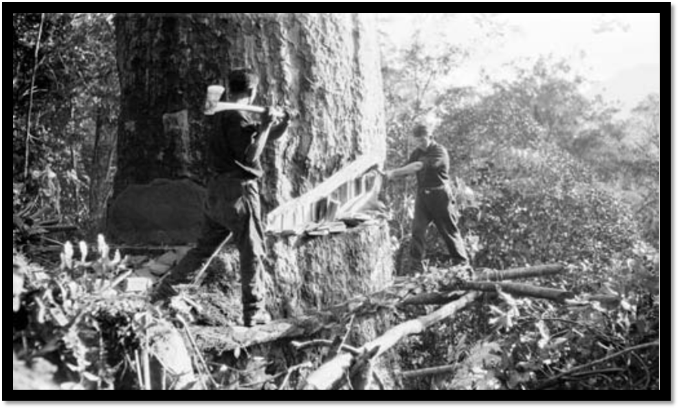 Week 3 - AEE | Introduction | eLearn