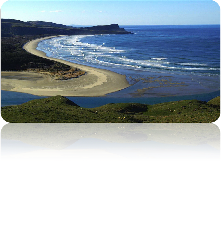 Week 4a- Water | eLearn